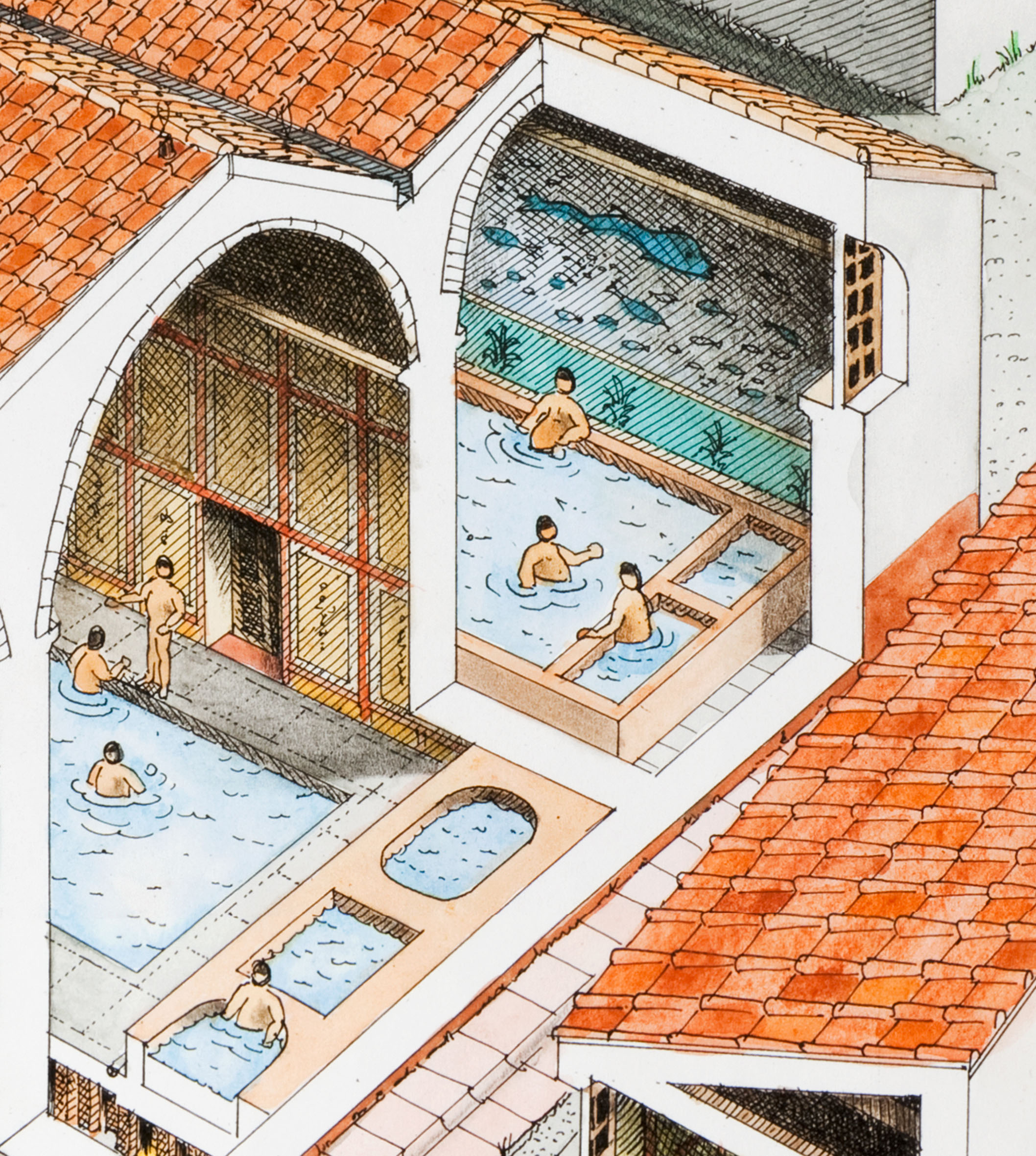 Römische Therme Und Mittelalterliche Badehäuser In Köln